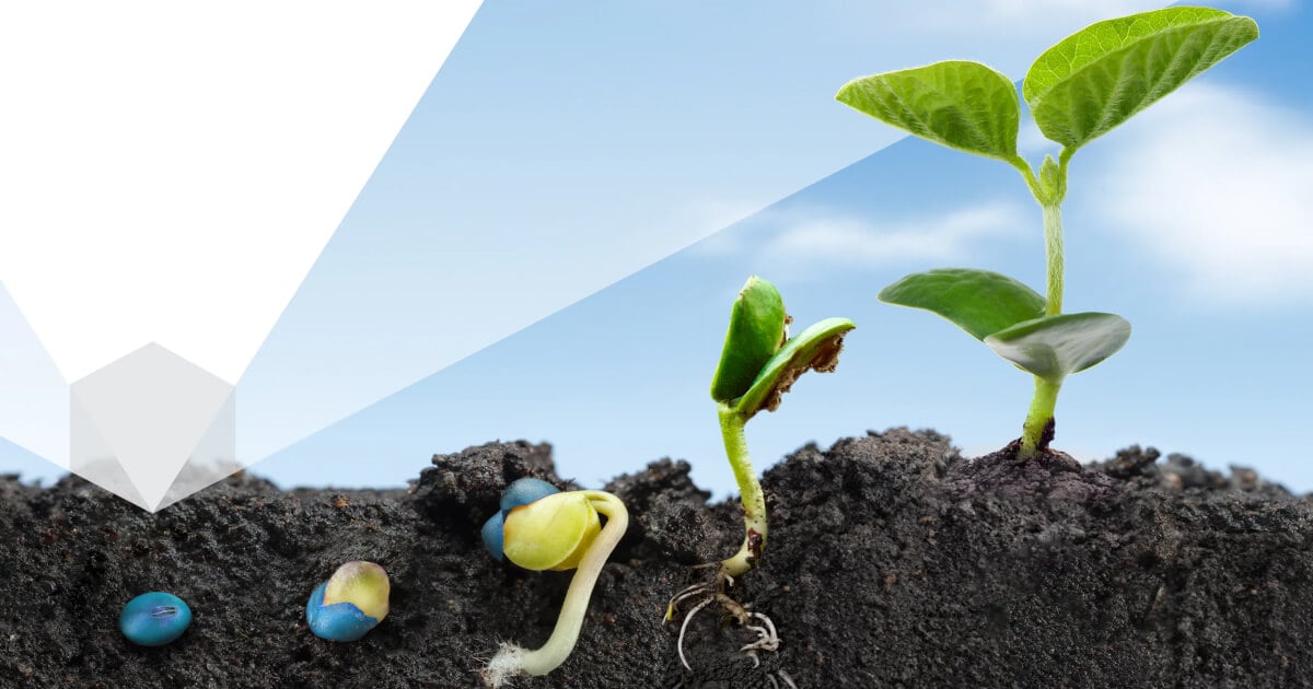 VICTRATO® mejor tratamiento enfermedades en soja | Syngenta